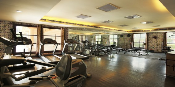 Villas in Rohtak | Villas for Sale in Rohtak - Omaxe City