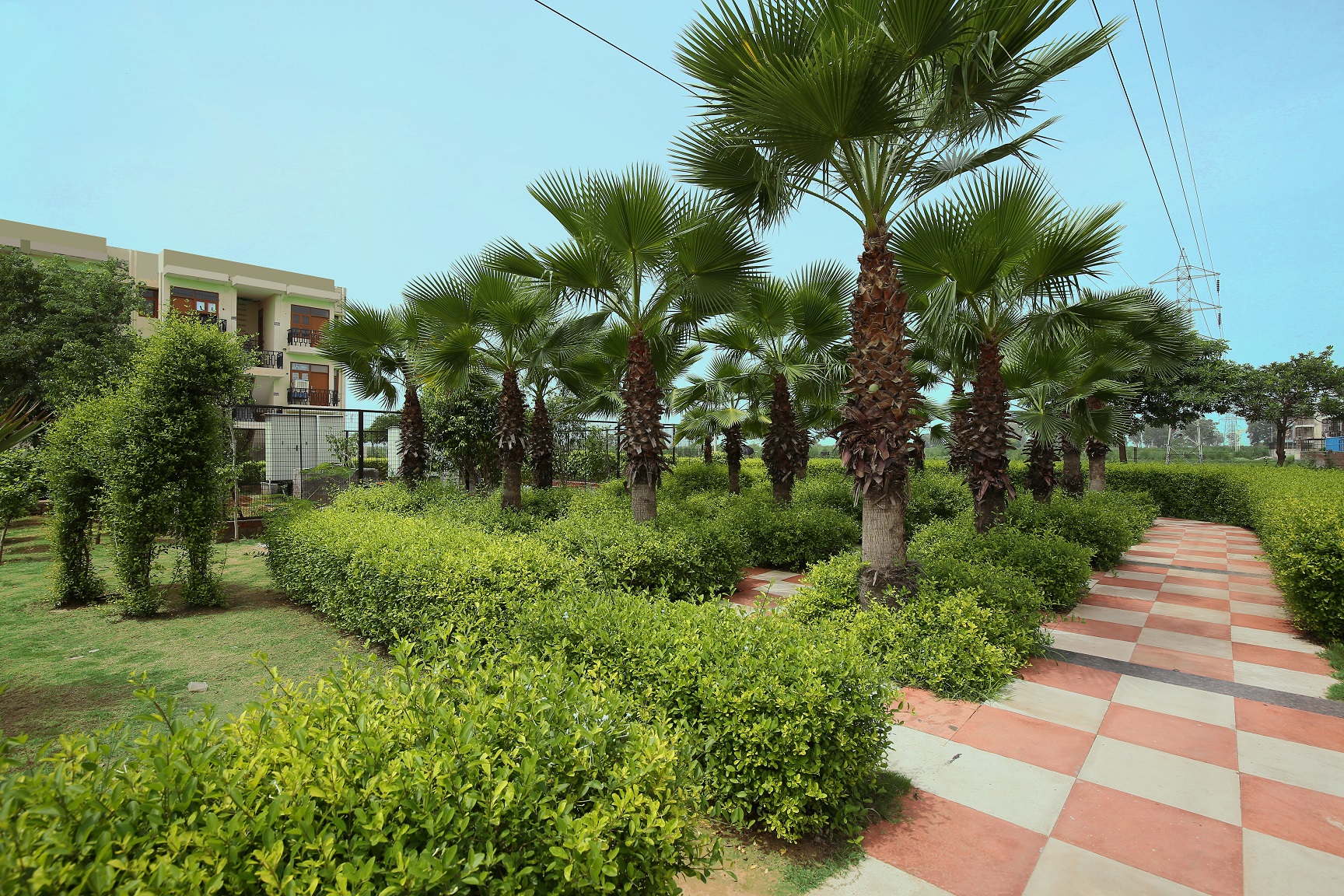 Flats in Rohtak | 3 BHK Flats for Sale in Rohtak | Apartments in Rohtak